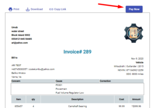 Payment Feature | ARI